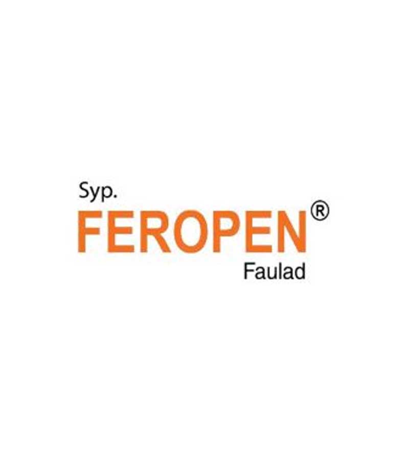 Feropen Syrup 200ml | Ehavene